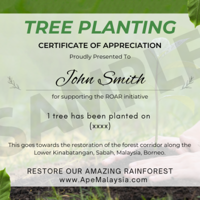 Plant a Tree - APE Malaysia